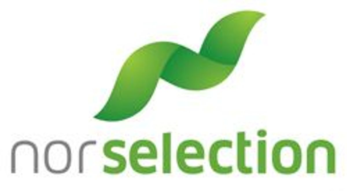 På vegne av kunde søker vi en lederstjerne for et selskap i sterk vekst.