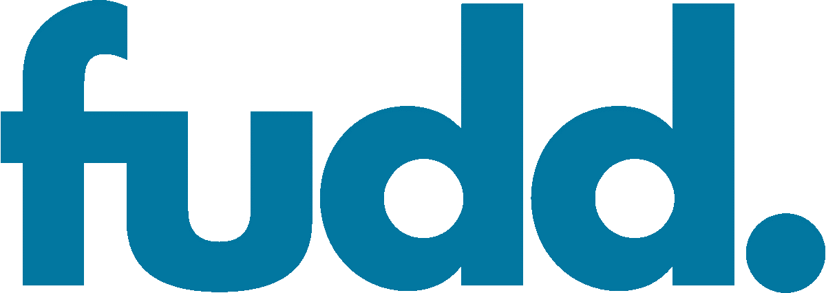 CFO till Fudd Finans